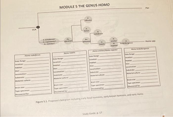 MODULE 5 THE GENUS HOMO Pon | Chegg.com