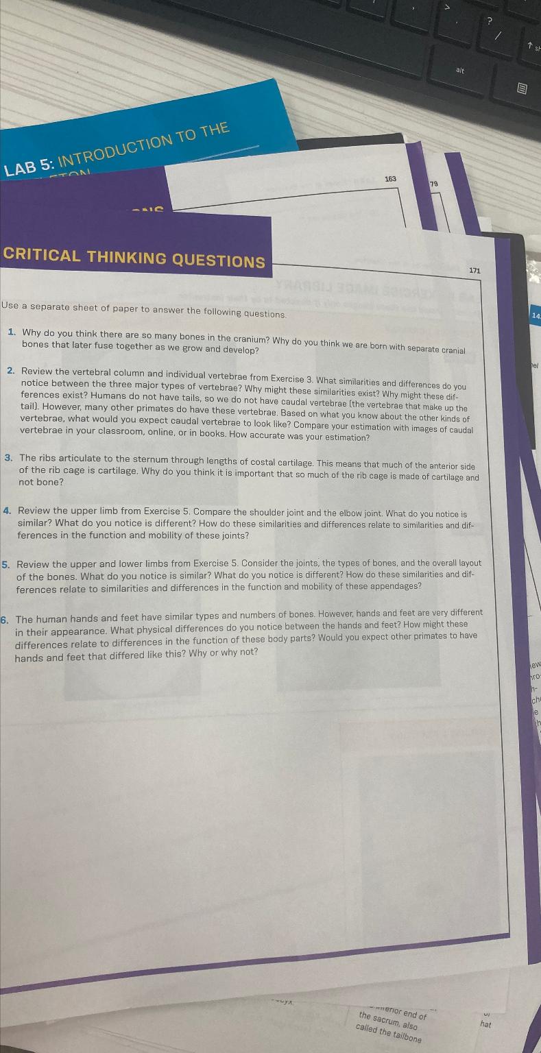 Solved LAB 5: INTRODUCTION TO THE16379CRITICAL THINKING | Chegg.com