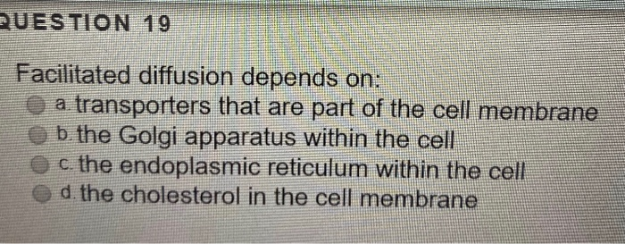 Solved QUESTION 19 Facilitated diffusion depends on: a | Chegg.com