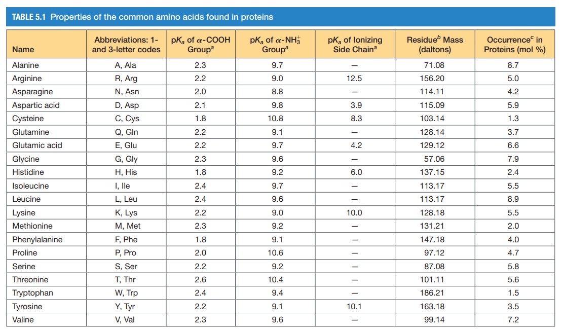 Solved The melanocyte-stimulating peptide hormone | Chegg.com
