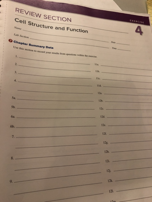 REVIEW SECTION Cell Structure and Function EXERCISE | Chegg.com