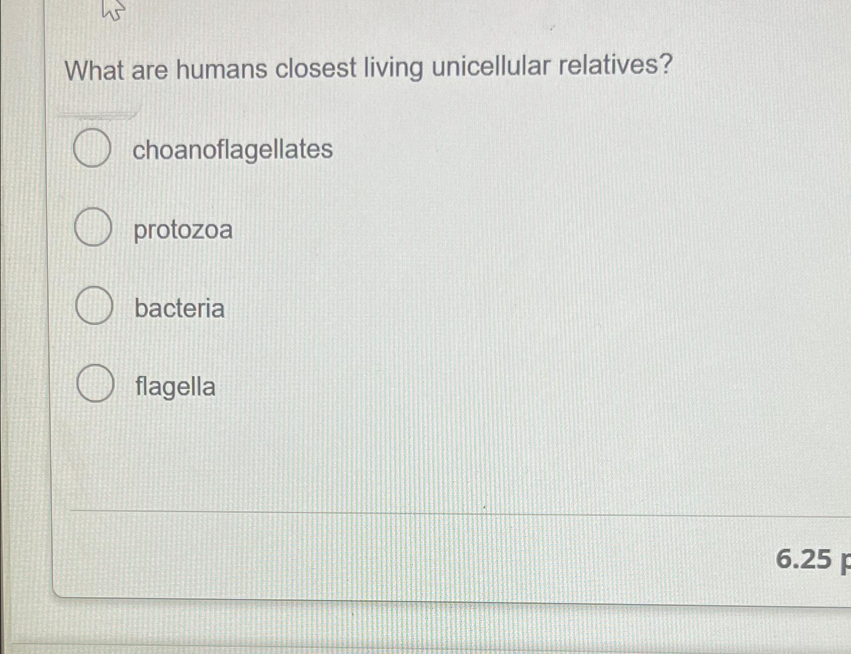 Solved What are humans closest living unicellular | Chegg.com
