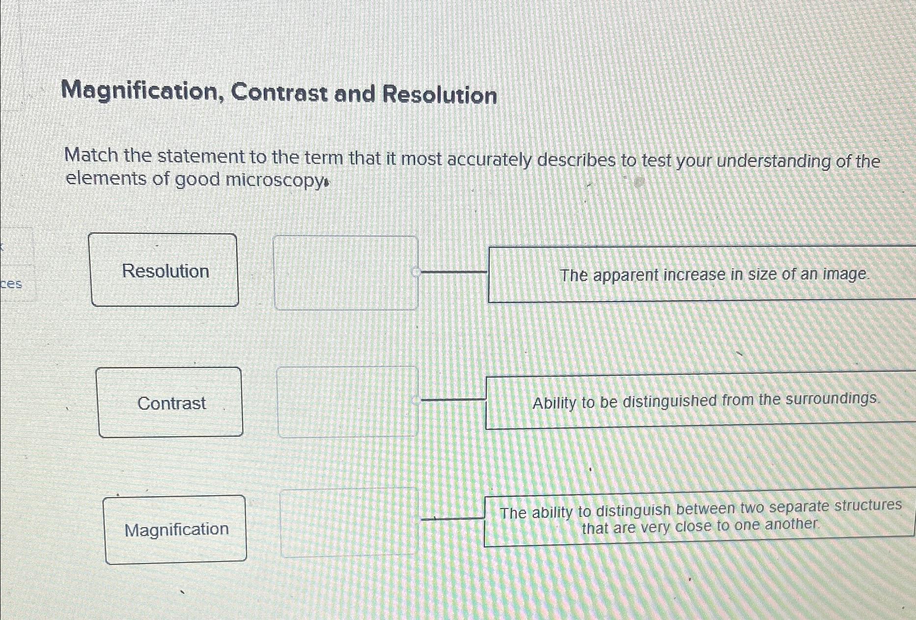 Solved Magnification, Contrast and ResolutionMatch the | Chegg.com