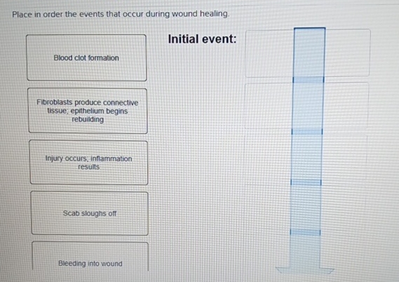 Solved Place in order the events that occur during wound | Chegg.com