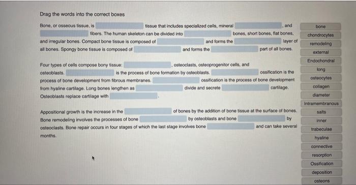 Solved Drag the words into the correct boxes | Chegg.com