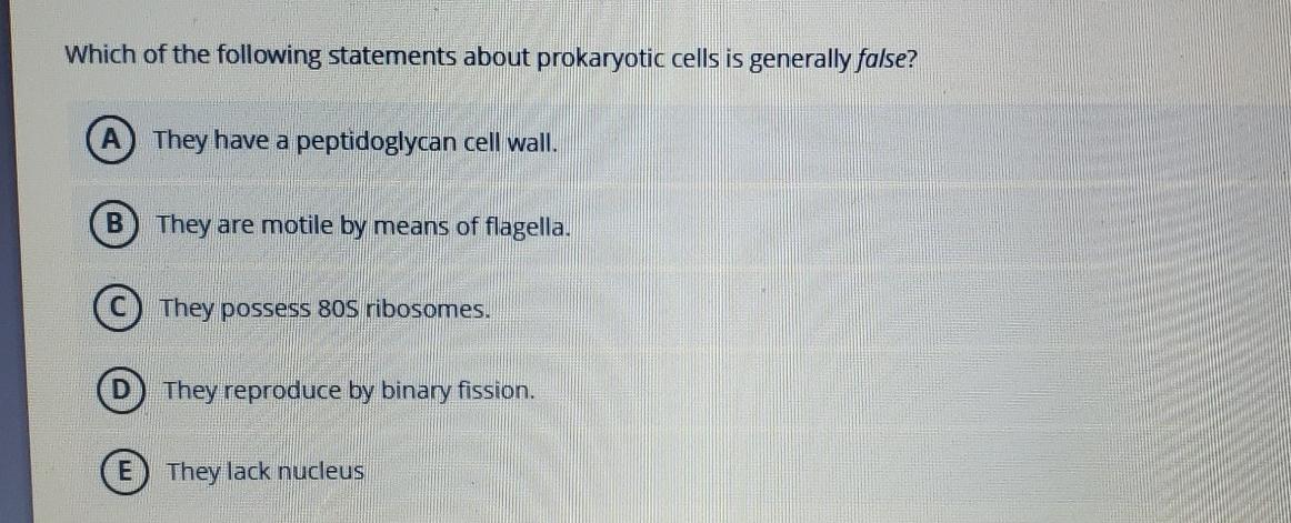 Solved Which of the following statements about prokaryotic | Chegg.com