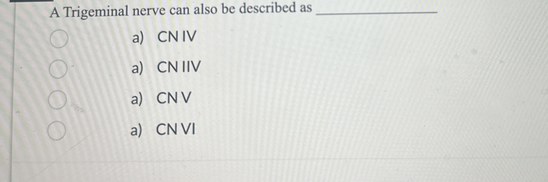 Solved Next to a slightly raised area on the surface of the | Chegg.com