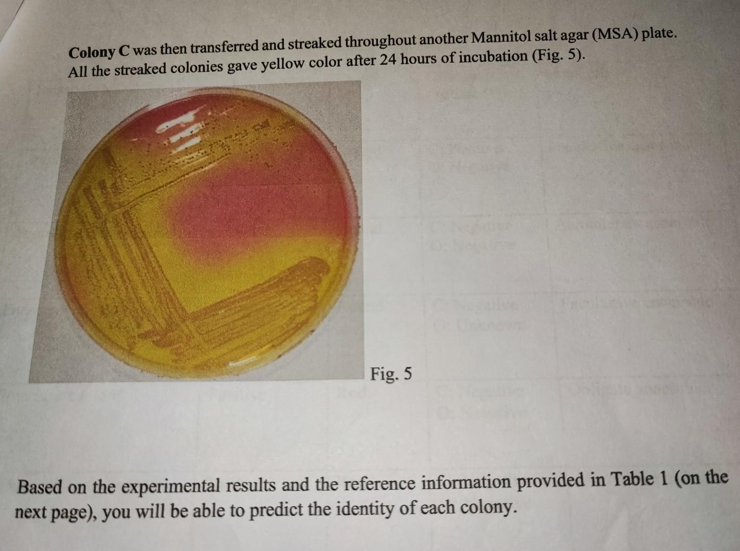 Solved What is the answer in Q10. Explain what you saw in | Chegg.com