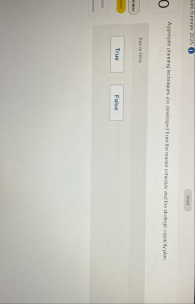 Solved xam-Summer 2025 ﻿iAggregate planning techniques are | Chegg.com