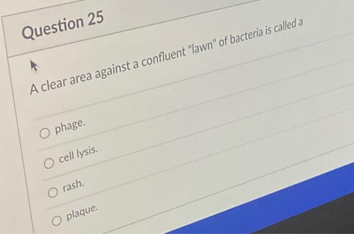 Solved Question 25 A clear area against a confluent "lawn" | Chegg.com