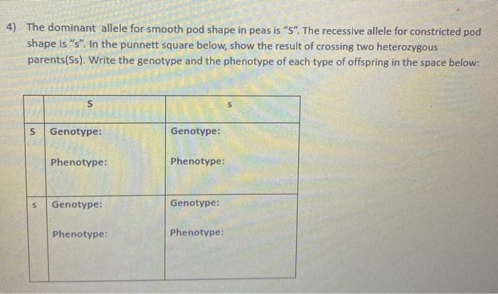 Solved 4) The dominant allele for smooth pod shape in peas | Chegg.com