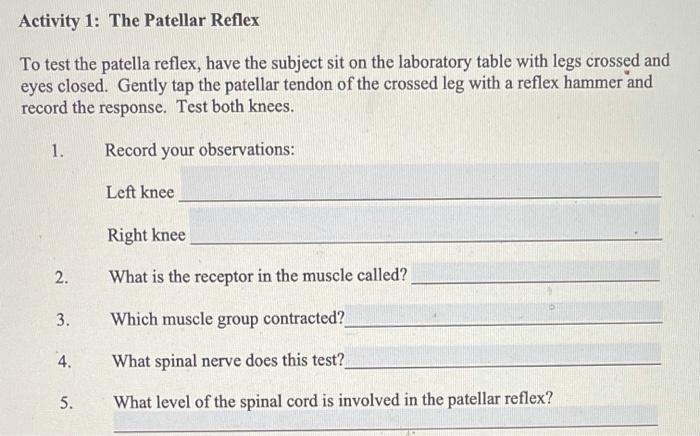 Solved Activity 1: The Patellar Reflex To test the patella | Chegg.com