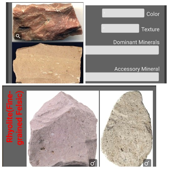 Solved Color Granite (Coarse grained Felsic Texture Dominant | Chegg.com