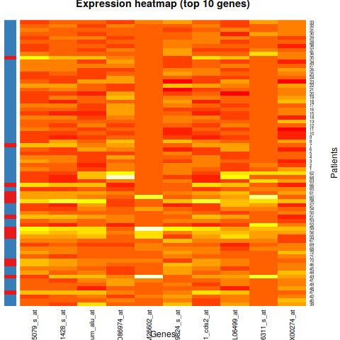 Solved Look at the heatmap generated for the top 10 selected | Chegg.com