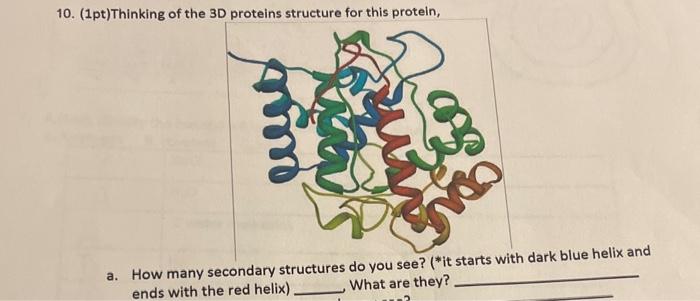 Solved 10. (1pt)Thinking of the 3D proteins structure for | Chegg.com