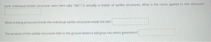 Solved Each individual brown structure seen here (aka | Chegg.com