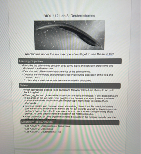 BIOL 112 ﻿Lab 8: Deuterostomes Amphioxus under the | Chegg.com