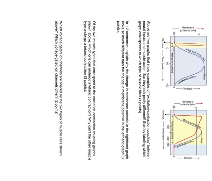 Solved Above are two graphs that show examples of | Chegg.com