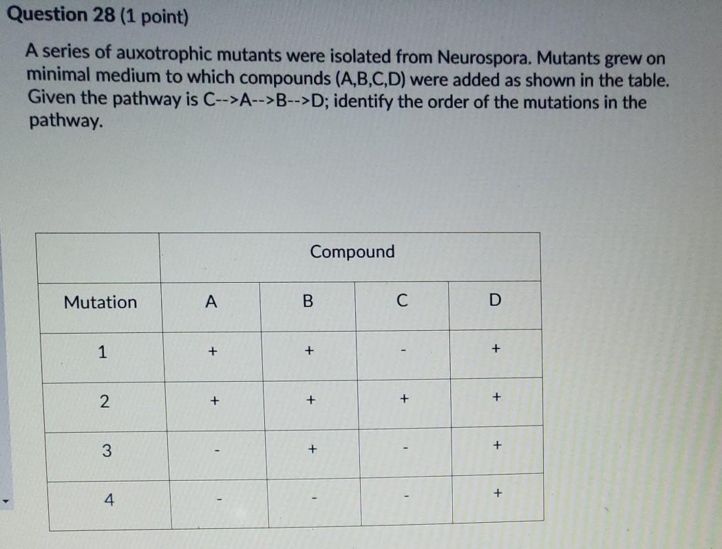 Solved Question 28 (1 point) A series of auxotrophic mutants | Chegg.com
