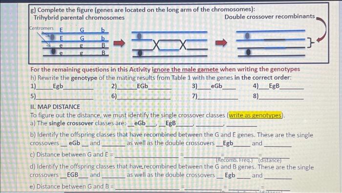 Solved I. DETERMINING GENE ORDER We want to map the distance | Chegg.com