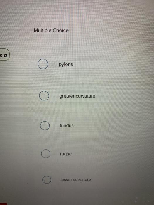 Solved estive Which structure is highlighted? Multiple | Chegg.com