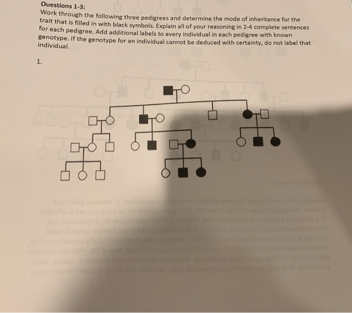 Solved Ouestions 1-3: rk through the following three | Chegg.com