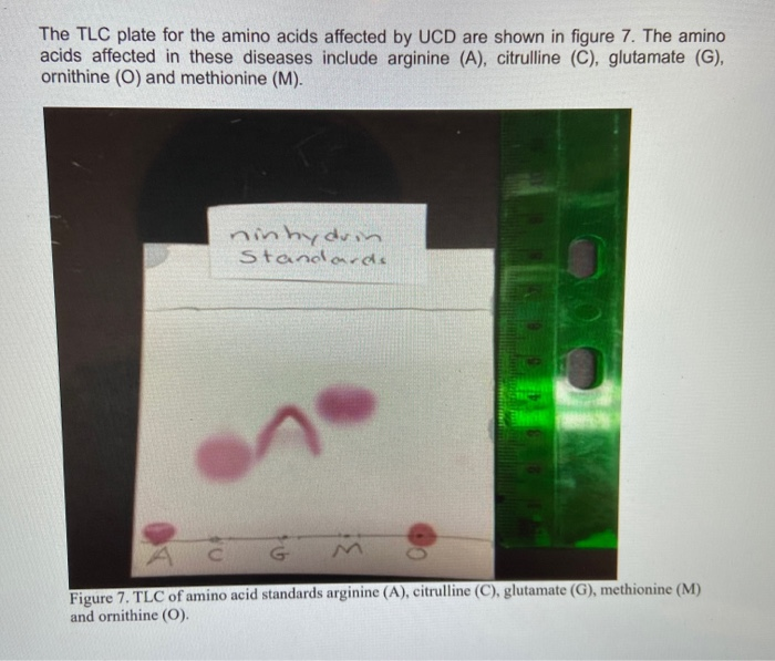 Goal of the project Your goal is this project will be | Chegg.com