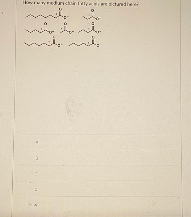 Solved How many medium chain fatty acids are pictured here? | Chegg.com