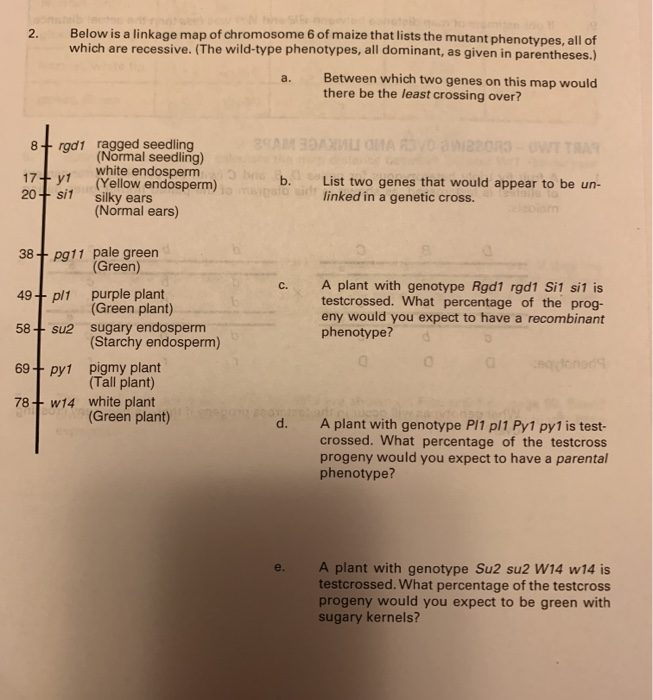 Solved 2. Below is a linkage map of chromosome 6 of maize | Chegg.com