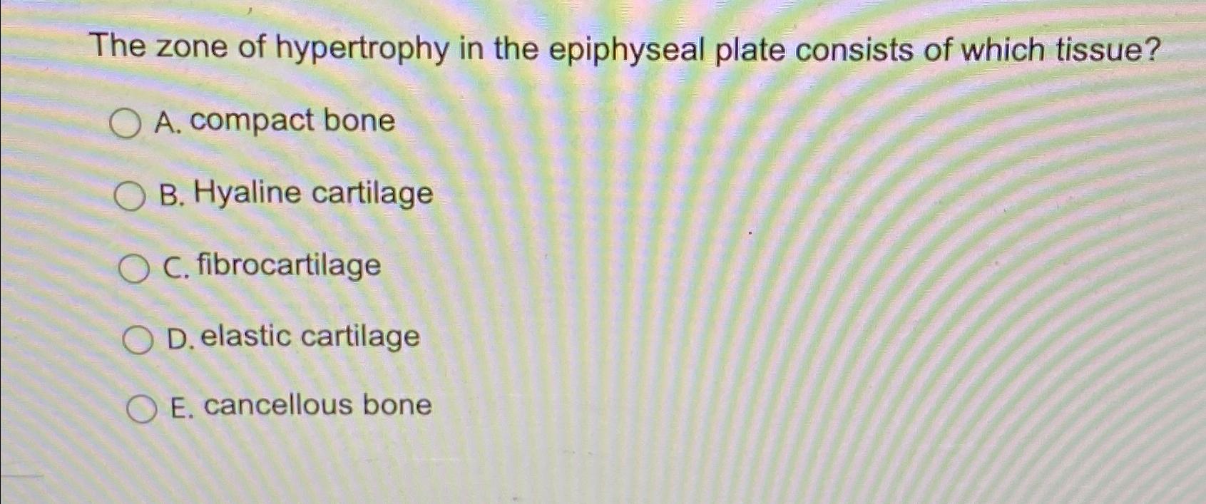 Solved The zone of hypertrophy in the epiphyseal plate | Chegg.com