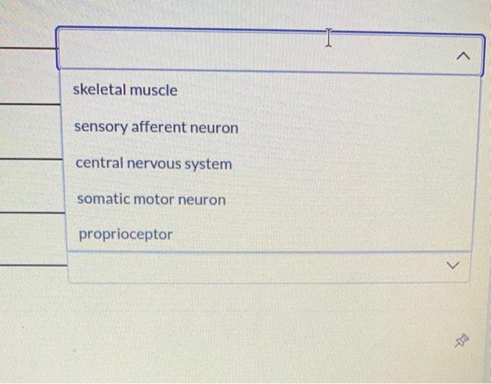 Solved 1 point Match the steps of a general reflex pathway | Chegg.com