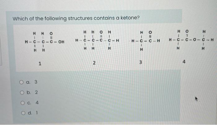 Solved Which of the following structures contains an | Chegg.com