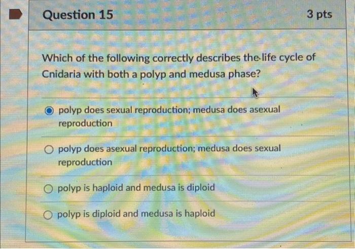 Solved Which of the following correctly describes the life | Chegg.com