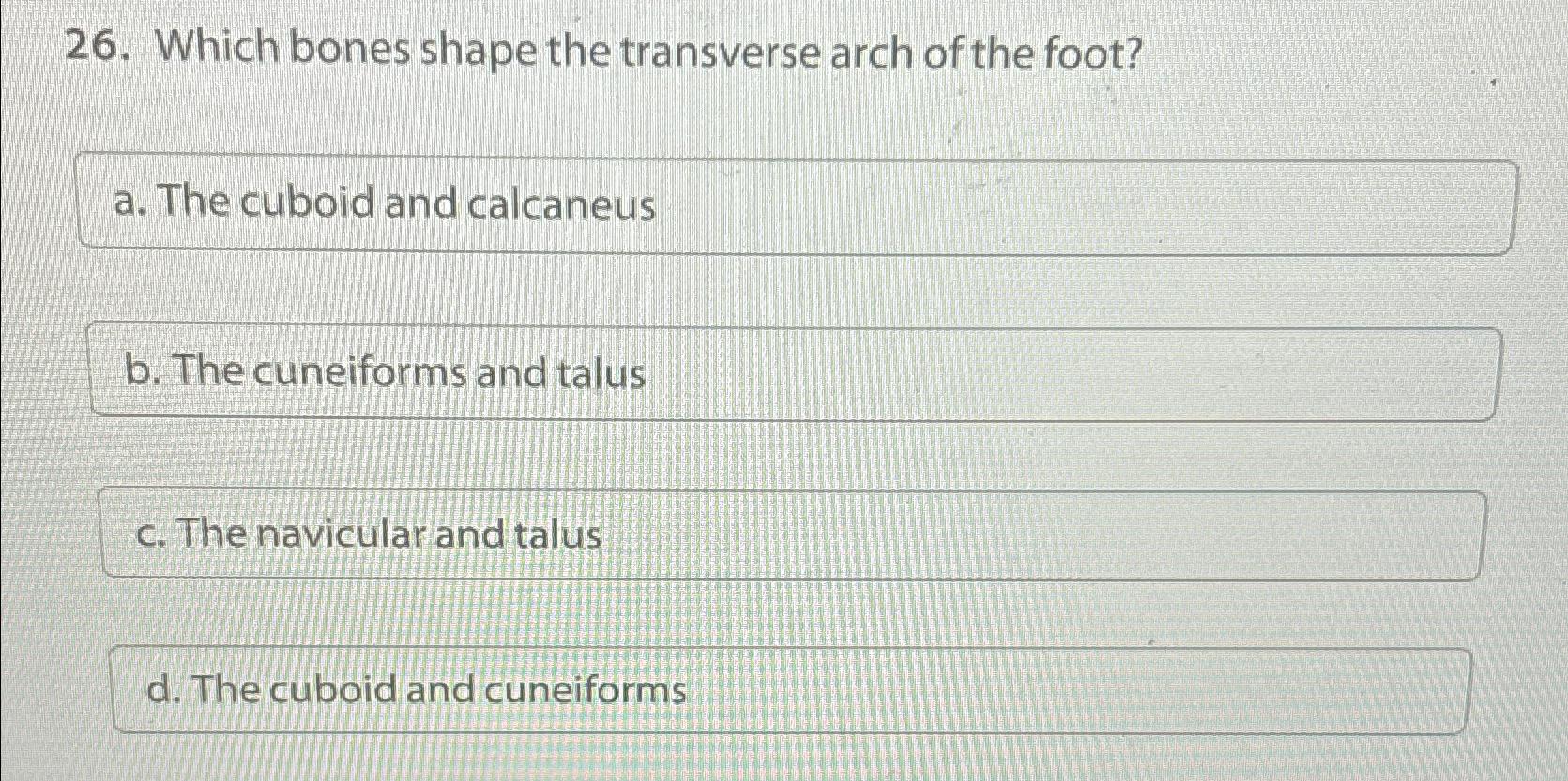 Solved Which bones shape the transverse arch of the foot?a. | Chegg.com