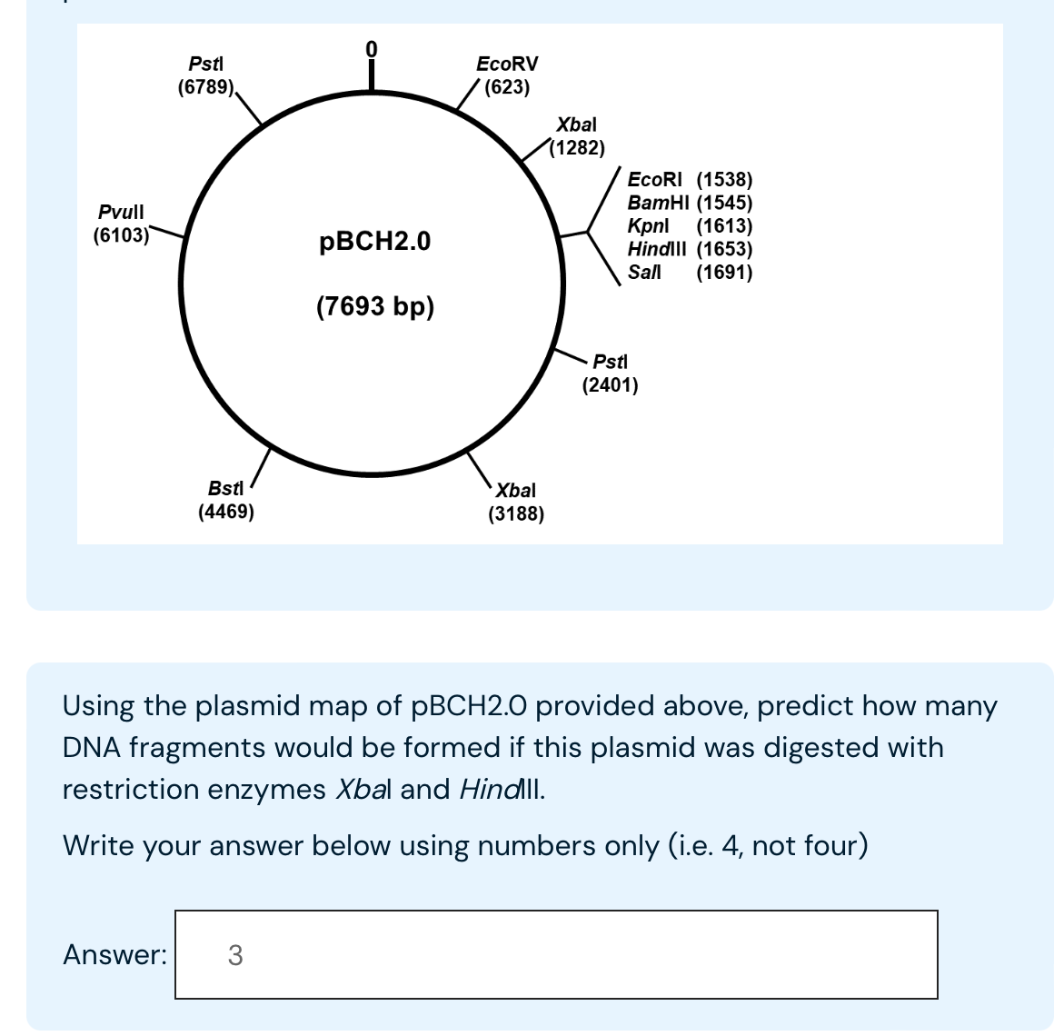 Solved Using the plasmid map of pBCH2.0 ﻿provided above, | Chegg.com