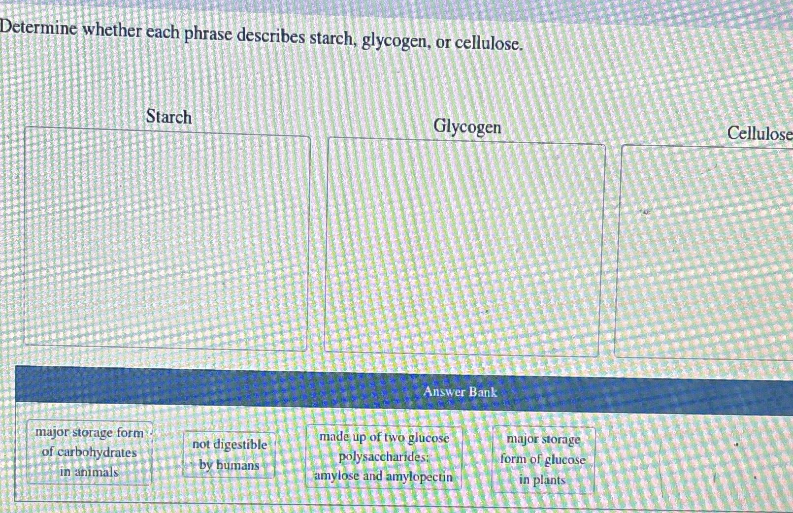 Solved Determine whether each phrase describes starch, | Chegg.com