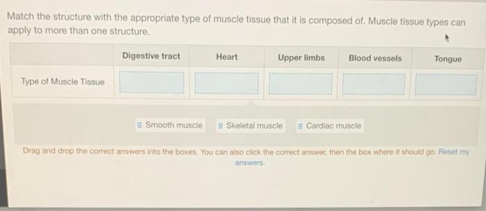 Solved Match the structure with the appropriate type of | Chegg.com