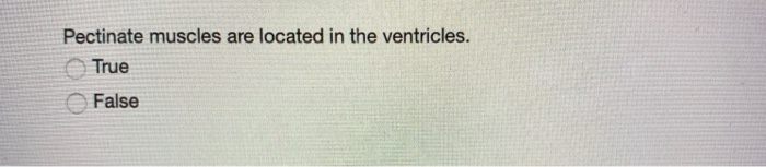 Solved Pectinate muscles are located in the ventricles. True | Chegg.com