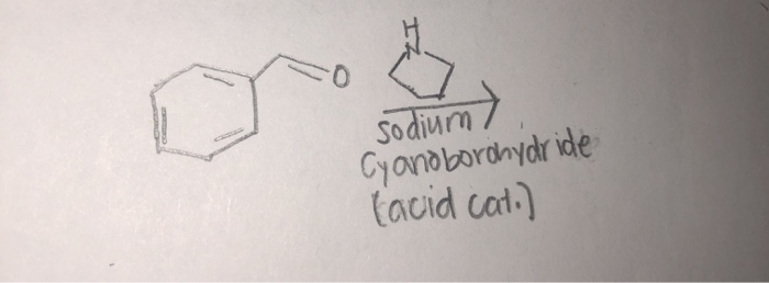 Solved sodium) Cyanoborohydride tacid cato) | Chegg.com