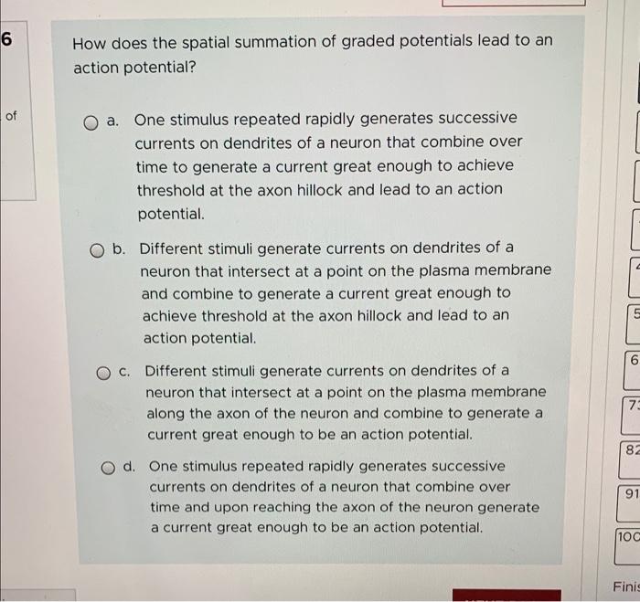Solved How does the spatial summation of graded potentials | Chegg.com