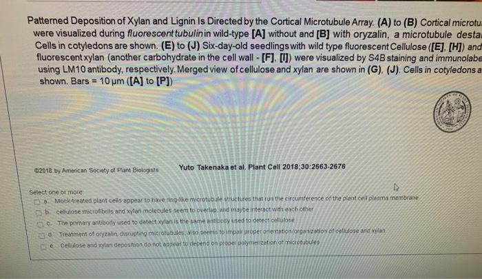 Below is an experiment to see how the plant cell wall | Chegg.com