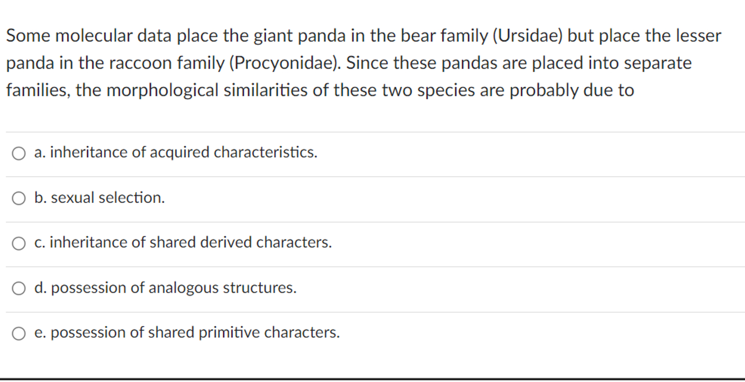 Solved Some molecular data place the giant panda in the bear | Chegg.com | Chegg.com