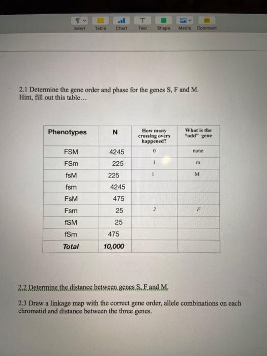 Solved Insert Table Chart Text Shape Media Comment Part 2: | Chegg.com