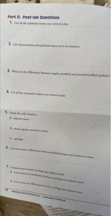Solved Part D: Post-lab Questions 1. List all the epithelial | Chegg.com