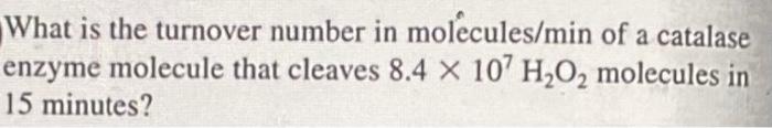 Solved What is the turnover number in molecules/min of a | Chegg.com