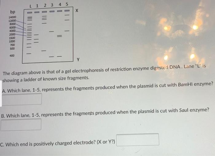 Solved Extra credit 3 The diagrams below represent | Chegg.com
