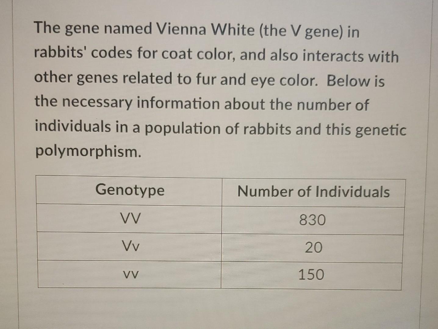 Solved The gene named Vienna White (the V gene) in rabbits' | Chegg.com