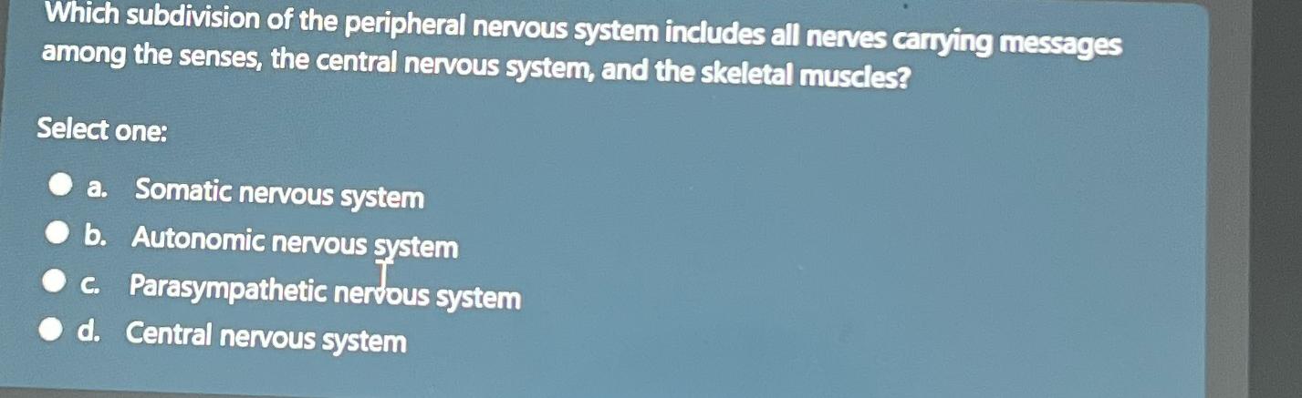 Solved Which subdivision of the peripheral nervous system | Chegg.com