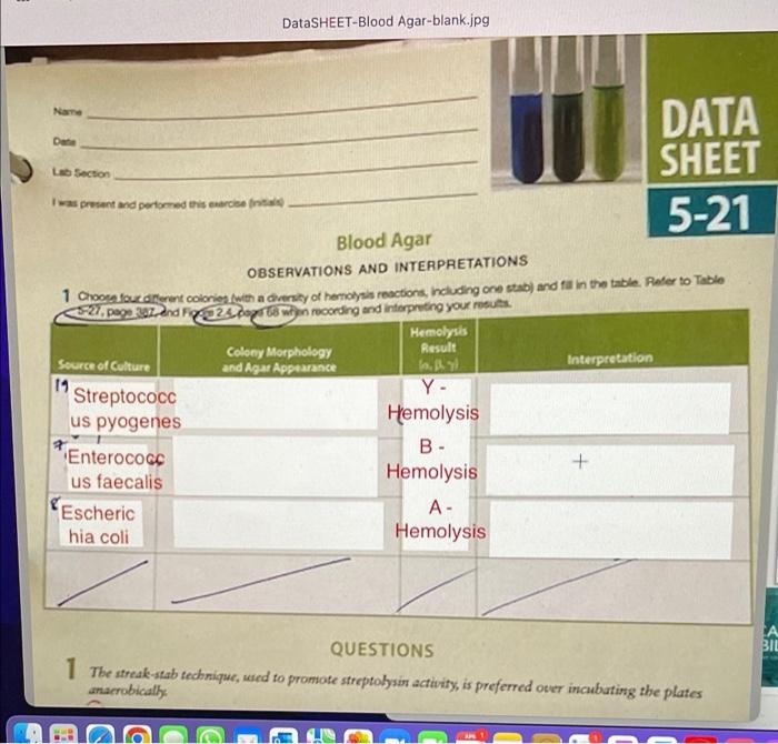 Solved DataSHEET-Blood Agar-blank.jpg Name D Lab Section | Chegg.com
