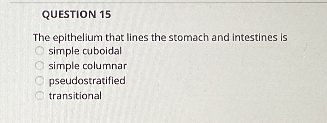 Solved QUESTION 15The epithelium that lines the stomach and | Chegg.com